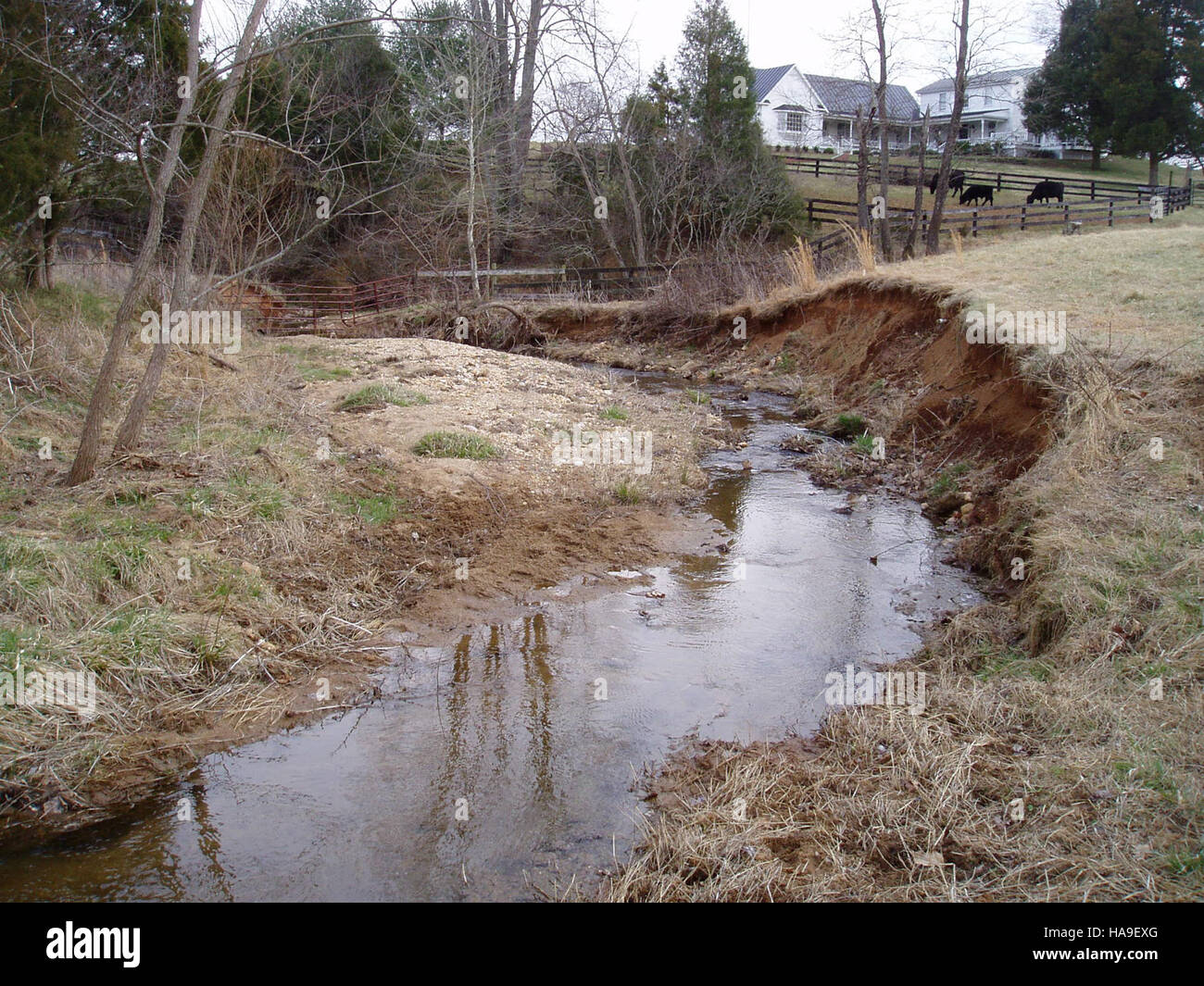 The Beaver Run streambank erosion in a national park highlights the ...