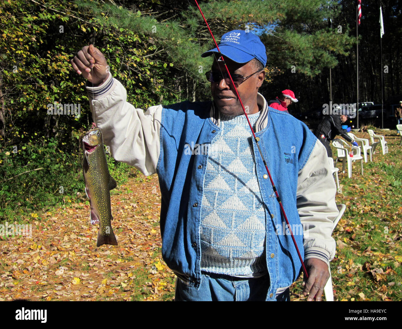 Brook trout, a species native to North America, thrive in the ...