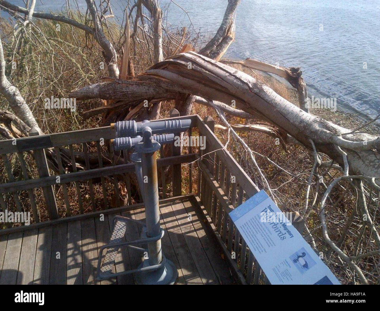 The Otter Point Platform at Trustom Pond National Wildlife Refuge in ...
