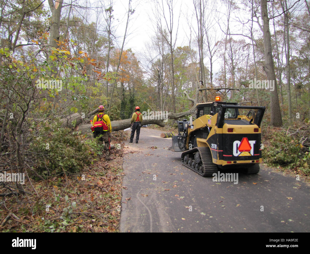 usfwsnortheast 8152094890 Tree clearing at Target Rock National ...