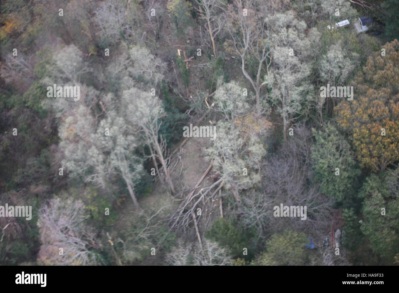 usfwsnortheast 8154119210 Tree damage at Target Rock National Wildlife ...