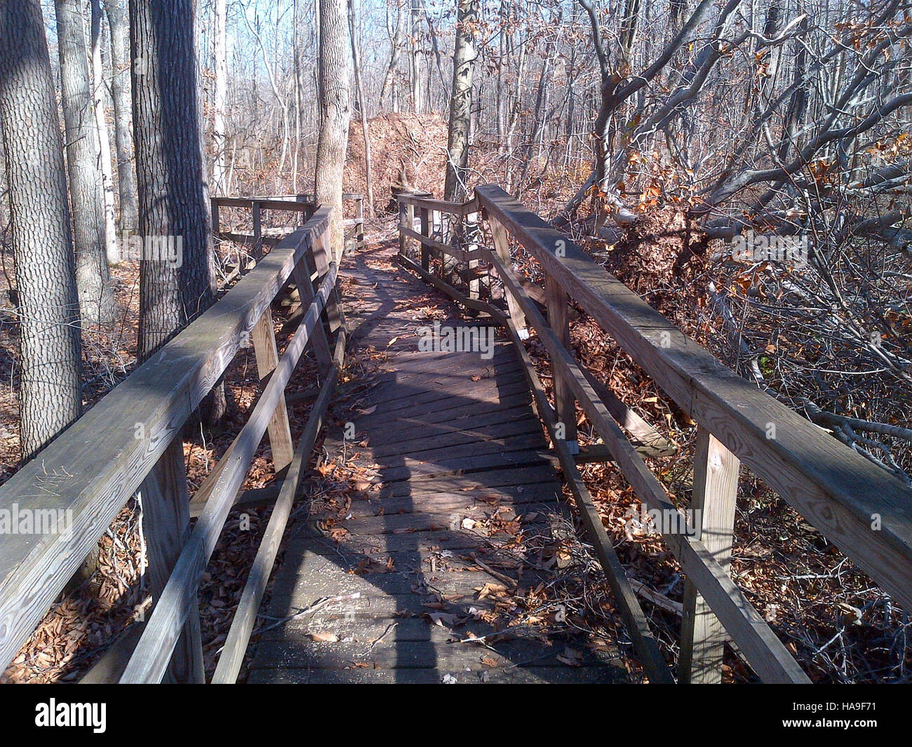 Hurricane Sandy caused significant damage to the Great Swamp National ...
