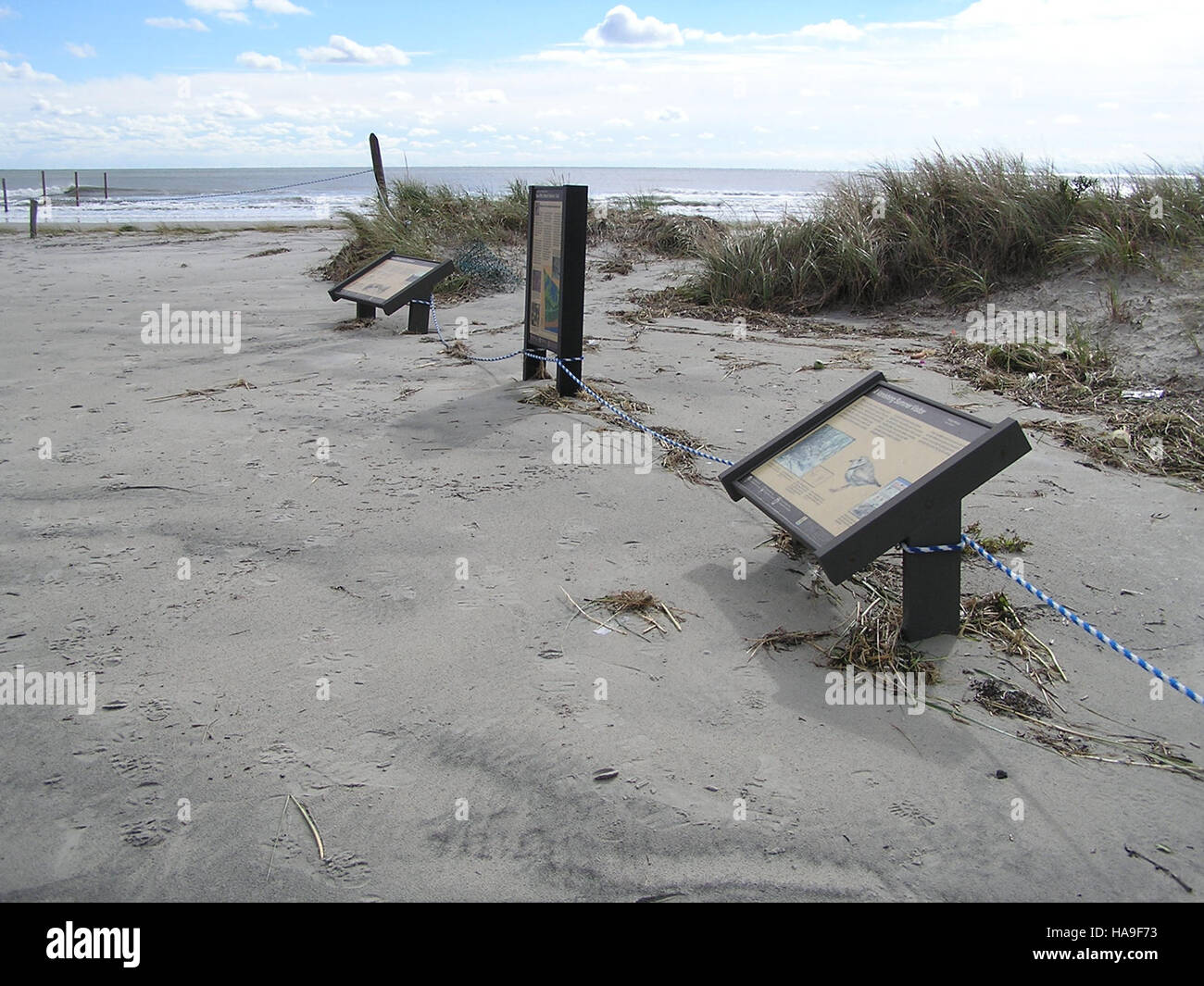 Hurricane Sandy caused significant damage to the Cape May National ...