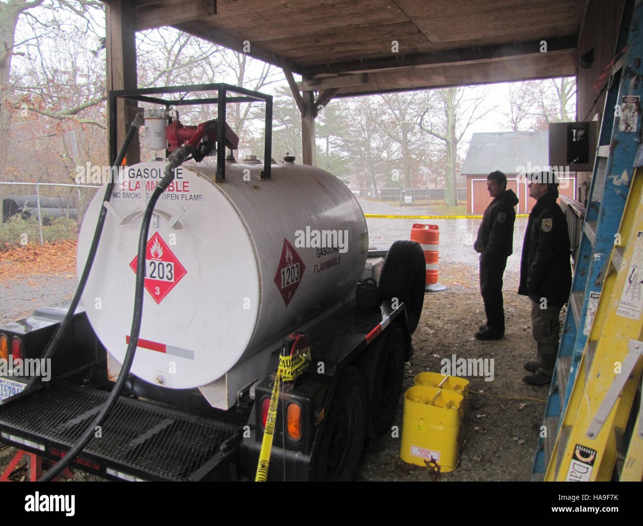 After a storm, wildlife in New York's national parks and protected ...
