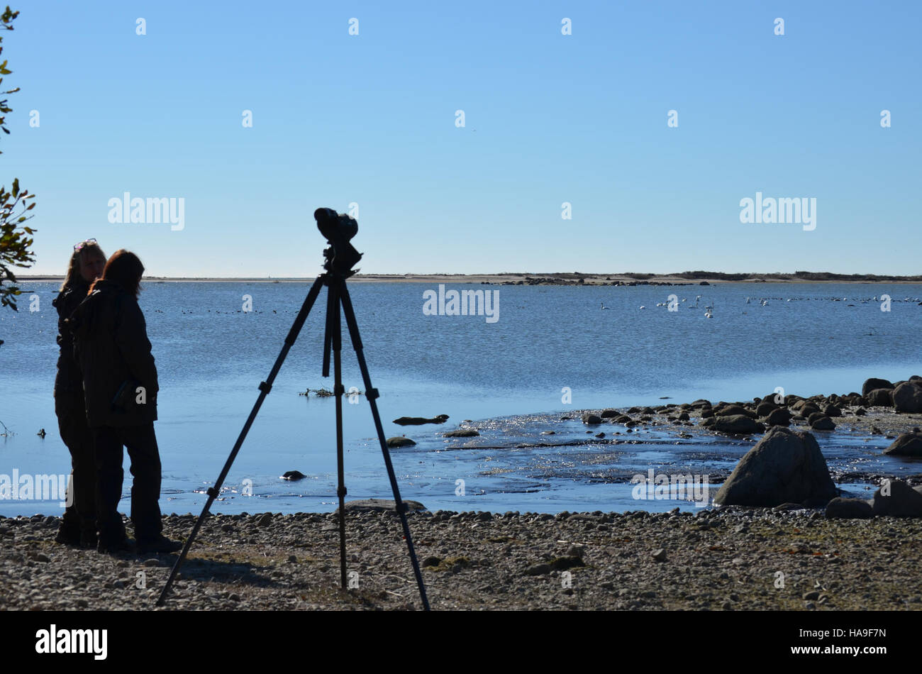 Trustom Pond National Wildlife Refuge in Rhode Island is undergoing a ...