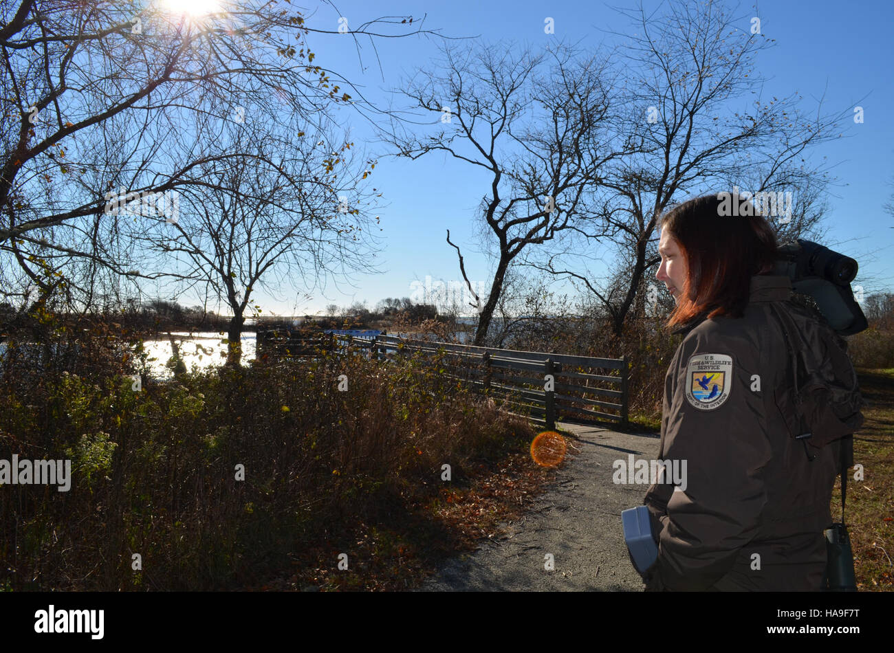 usfwsnortheast 8182703009 Approaching the lookout (RI Stock Photo - Alamy