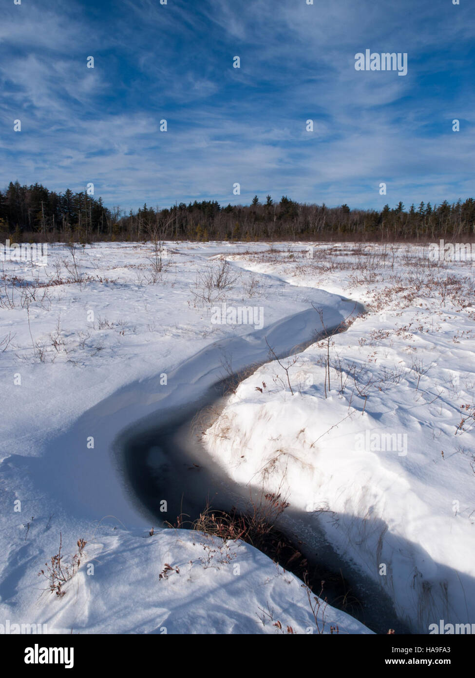 Bog science hi-res stock photography and images - Alamy