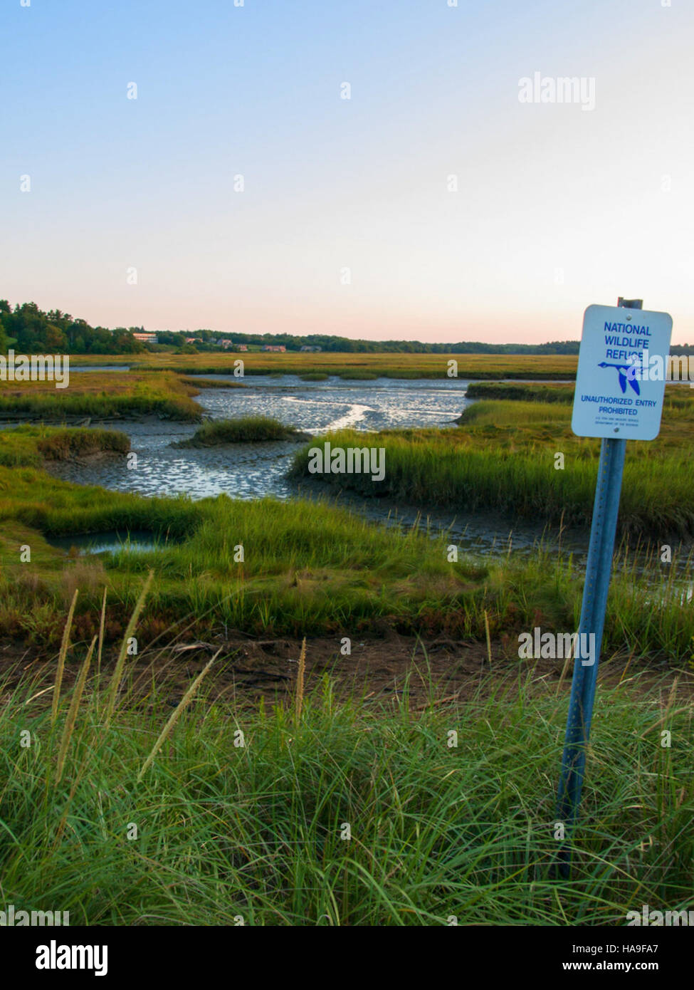 A tidal marsh, part of the U.S. Fish and Wildlife Service's ...