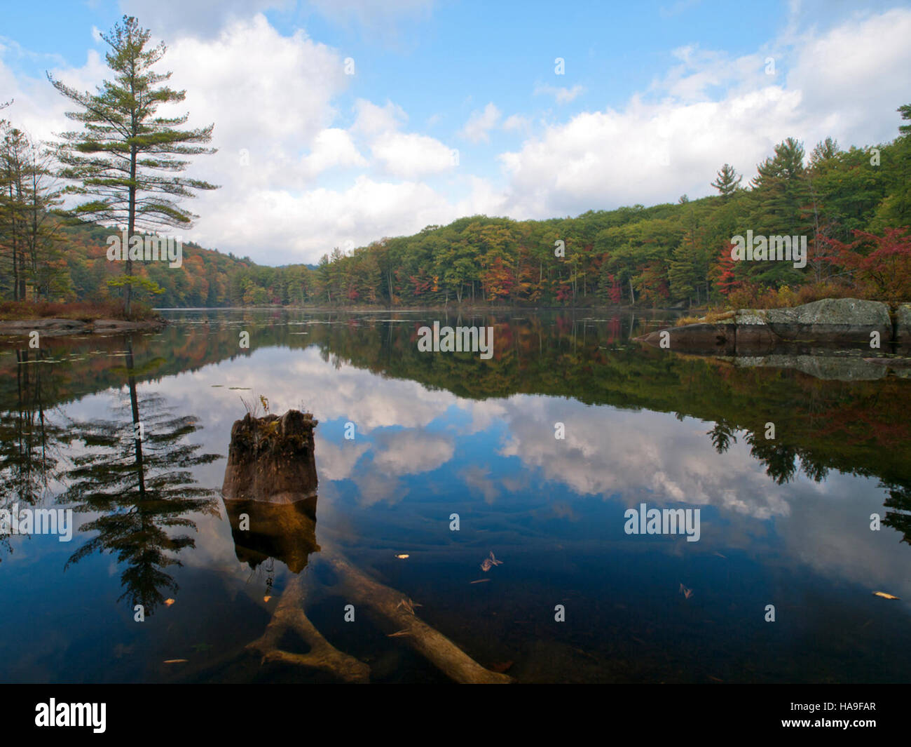 Catamount state forest hi-res stock photography and images - Alamy