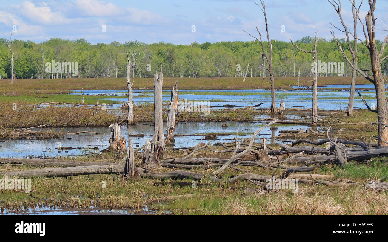 Cranberry Pool, located within a protected national park, is an ...