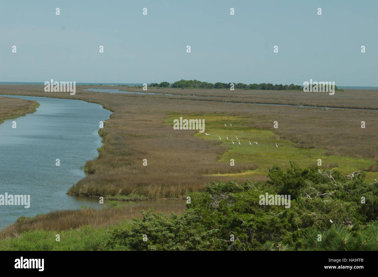 Joe's Ridge Creek, located near Chesapeake Bay, is a vital part of the ...