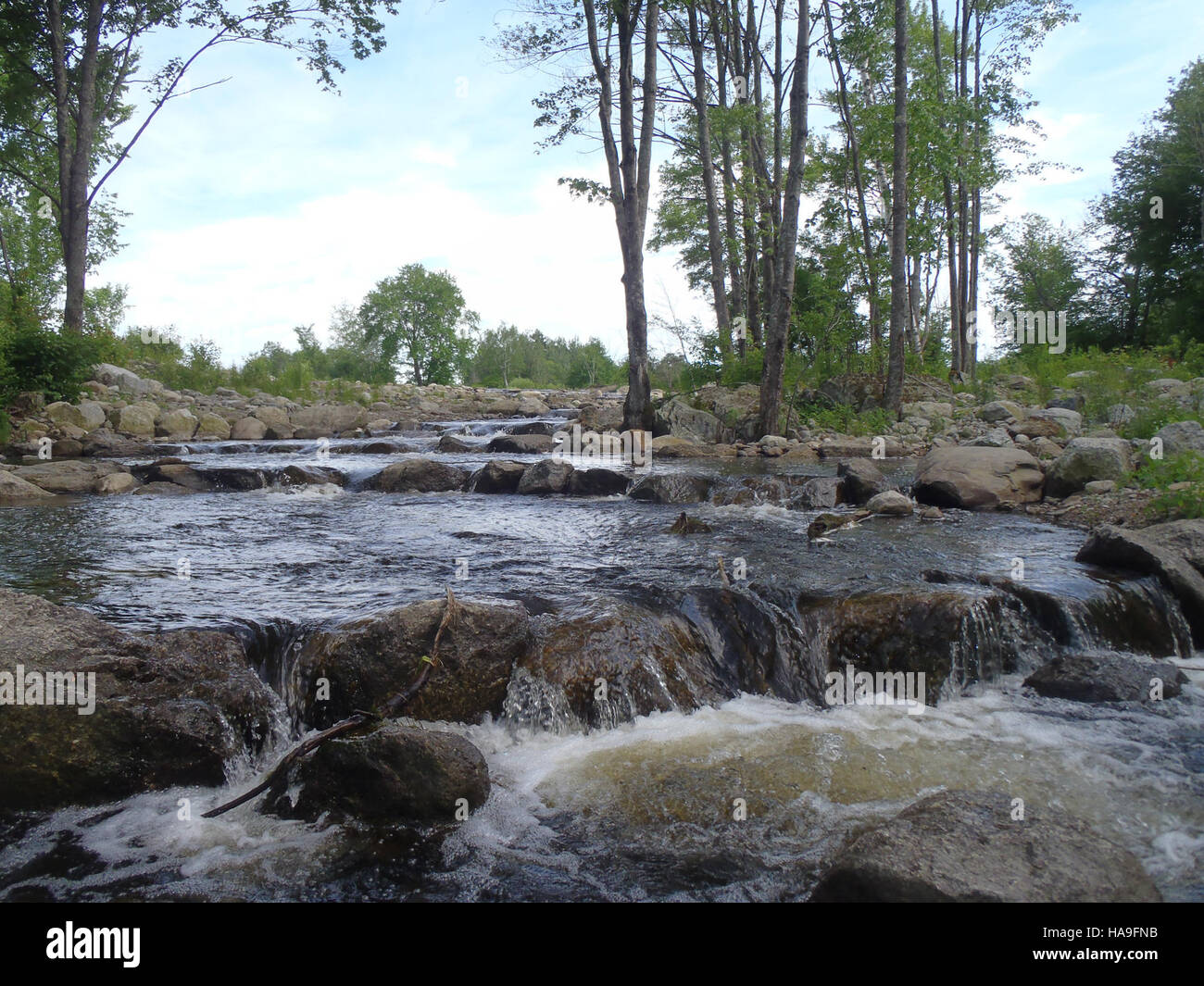A nature-like fishway for herring is designed to provide an ...