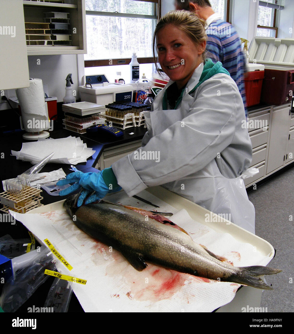A necropsy is performed on a deceased wildlife specimen to study the ...