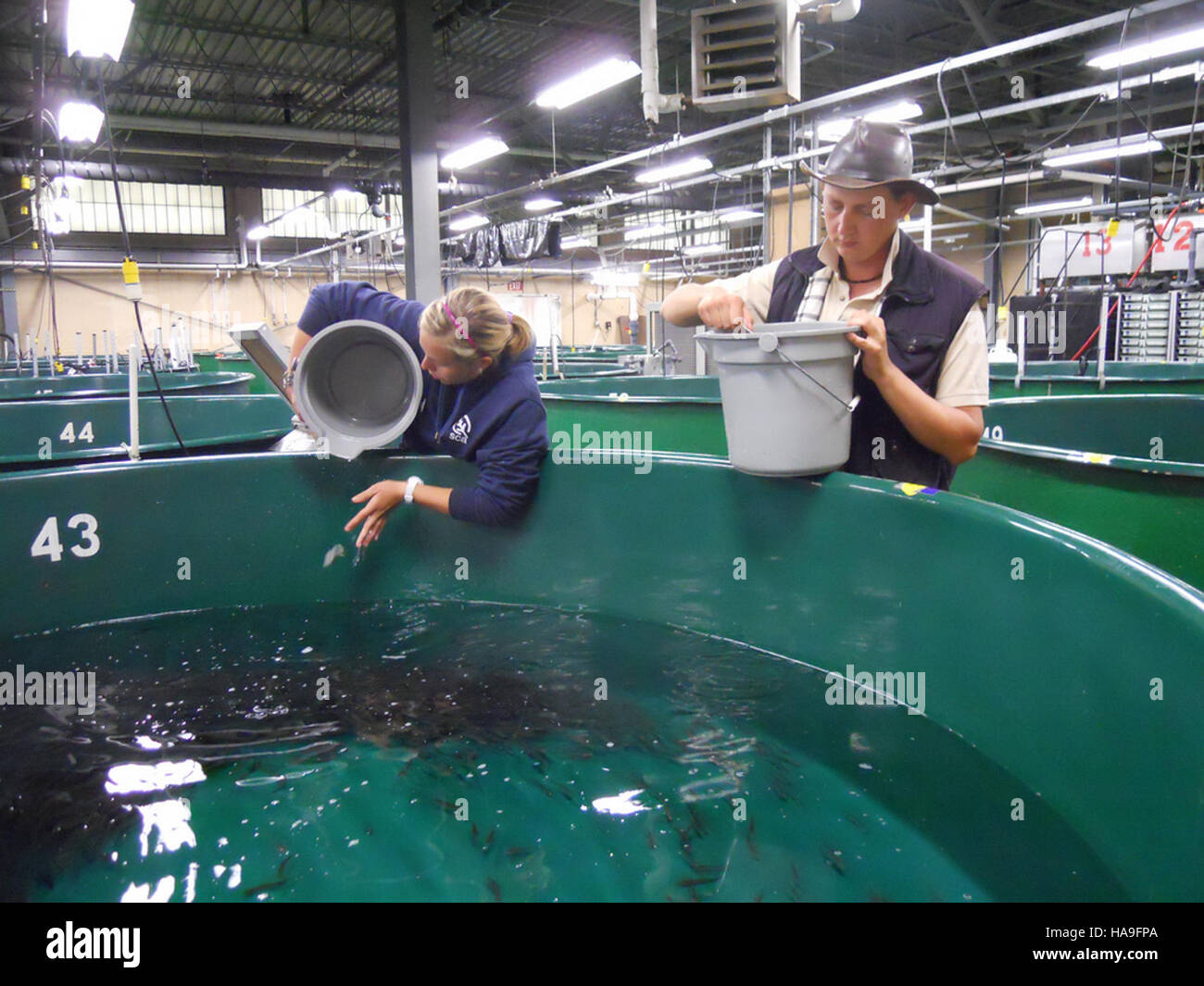 Lake trout sampling in a national park is part of fish population ...
