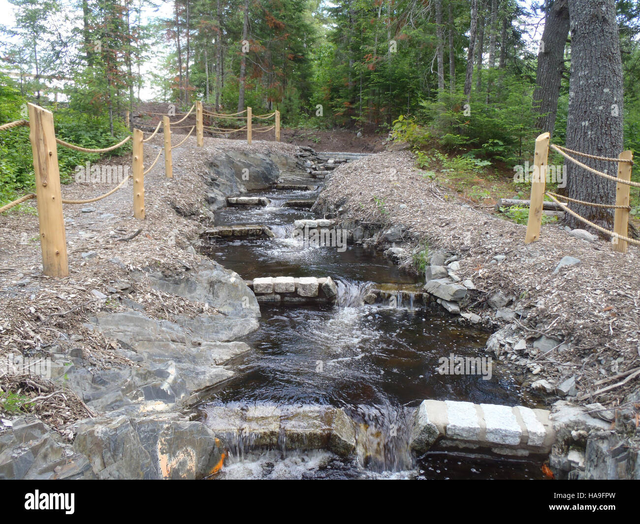 A fish ladder in a park in Maine is an important feature for aiding ...
