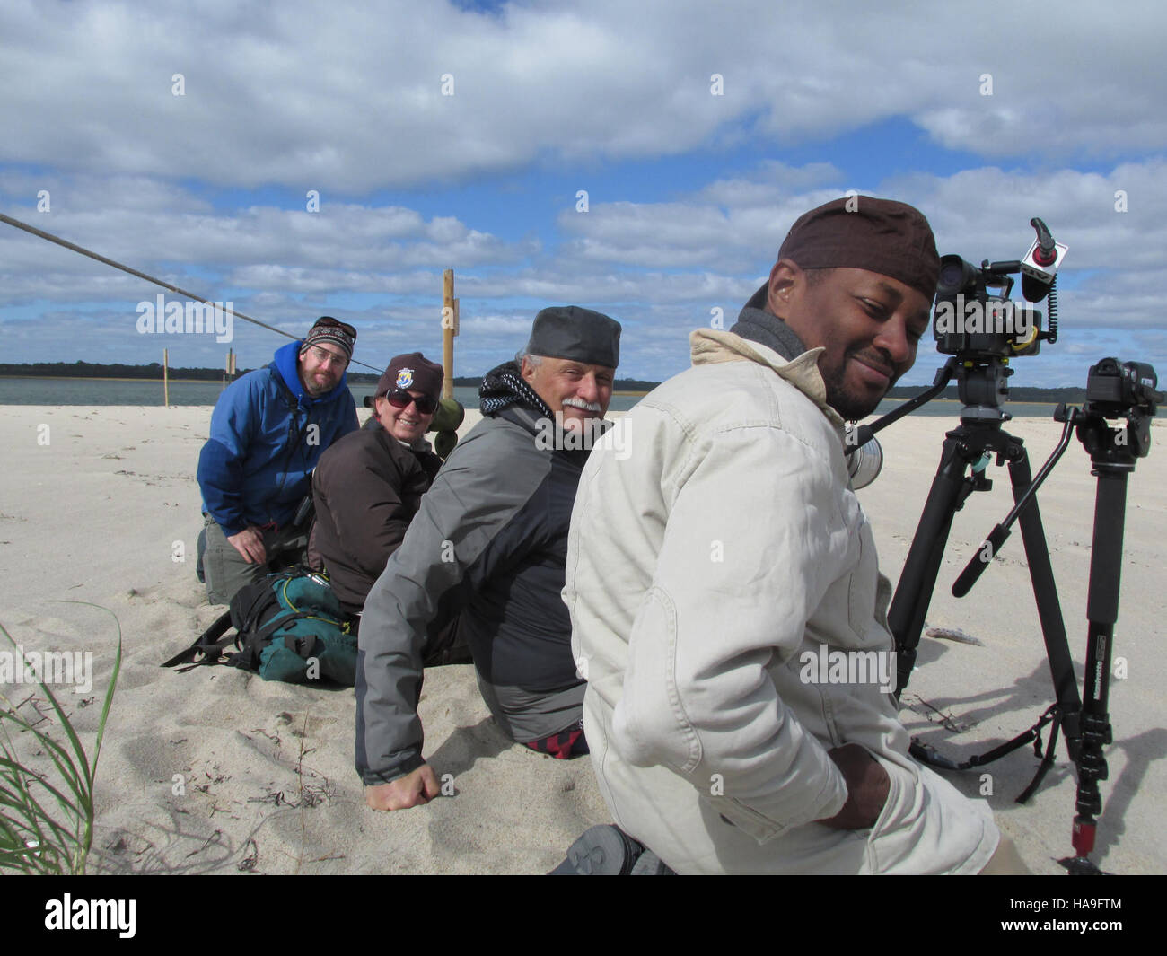 Cannon netting of red knots in Cape Cod National Park helps track and ...