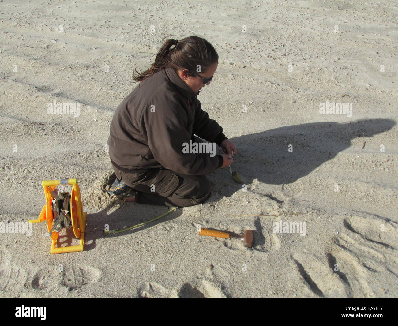 Cannon-netting research on Cape Cod National Park was conducted to ...