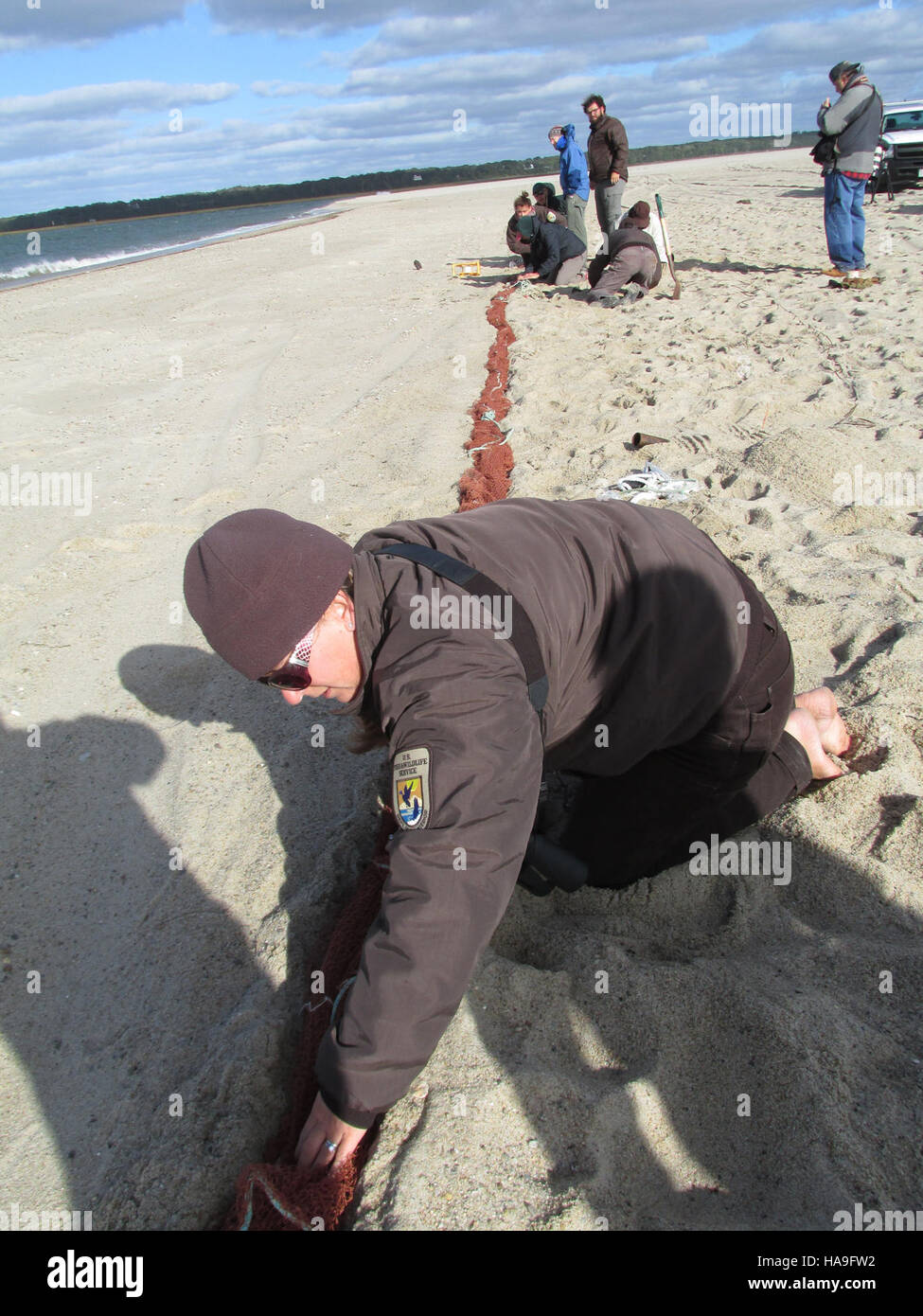 The U.S. Fish and Wildlife Service manages conservation efforts in ...