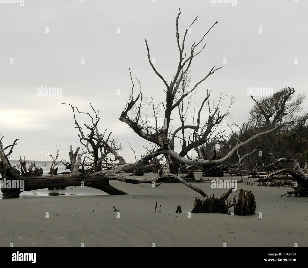 Cape Romain National Wildlife Refuge is located in South Carolina and ...