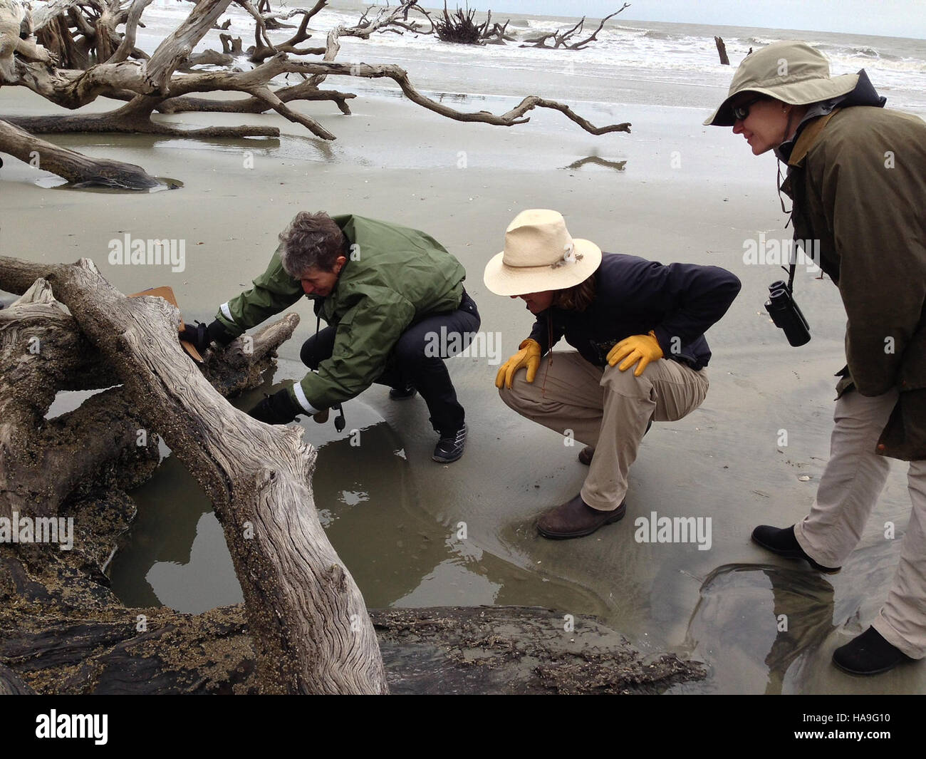 Secretary of the Interior Sally Jewell visited Cape Romain National ...