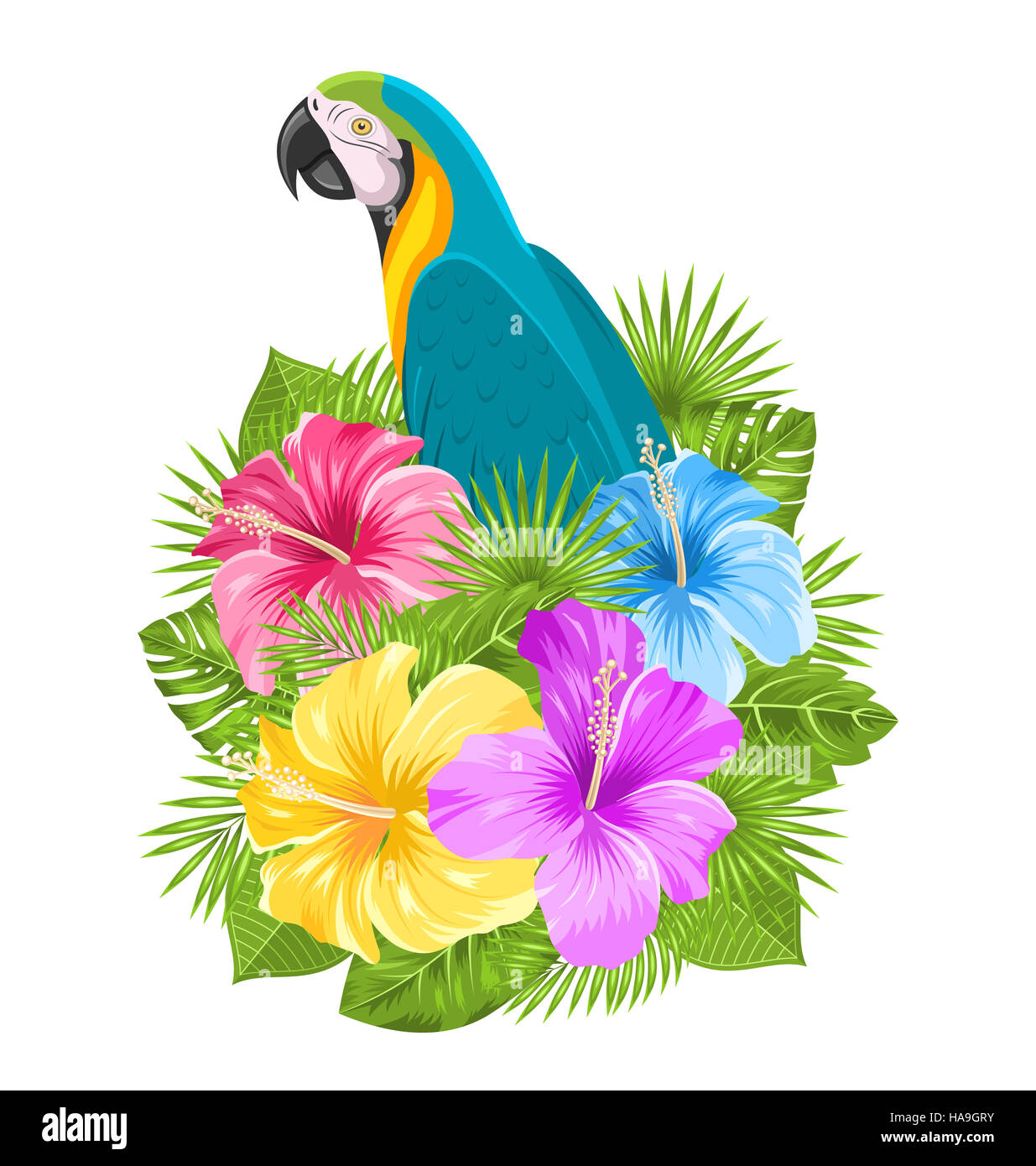 Parrot Ara, Colorful Hibiscus Flowers Blossom and Tropical Leaves Stock ...