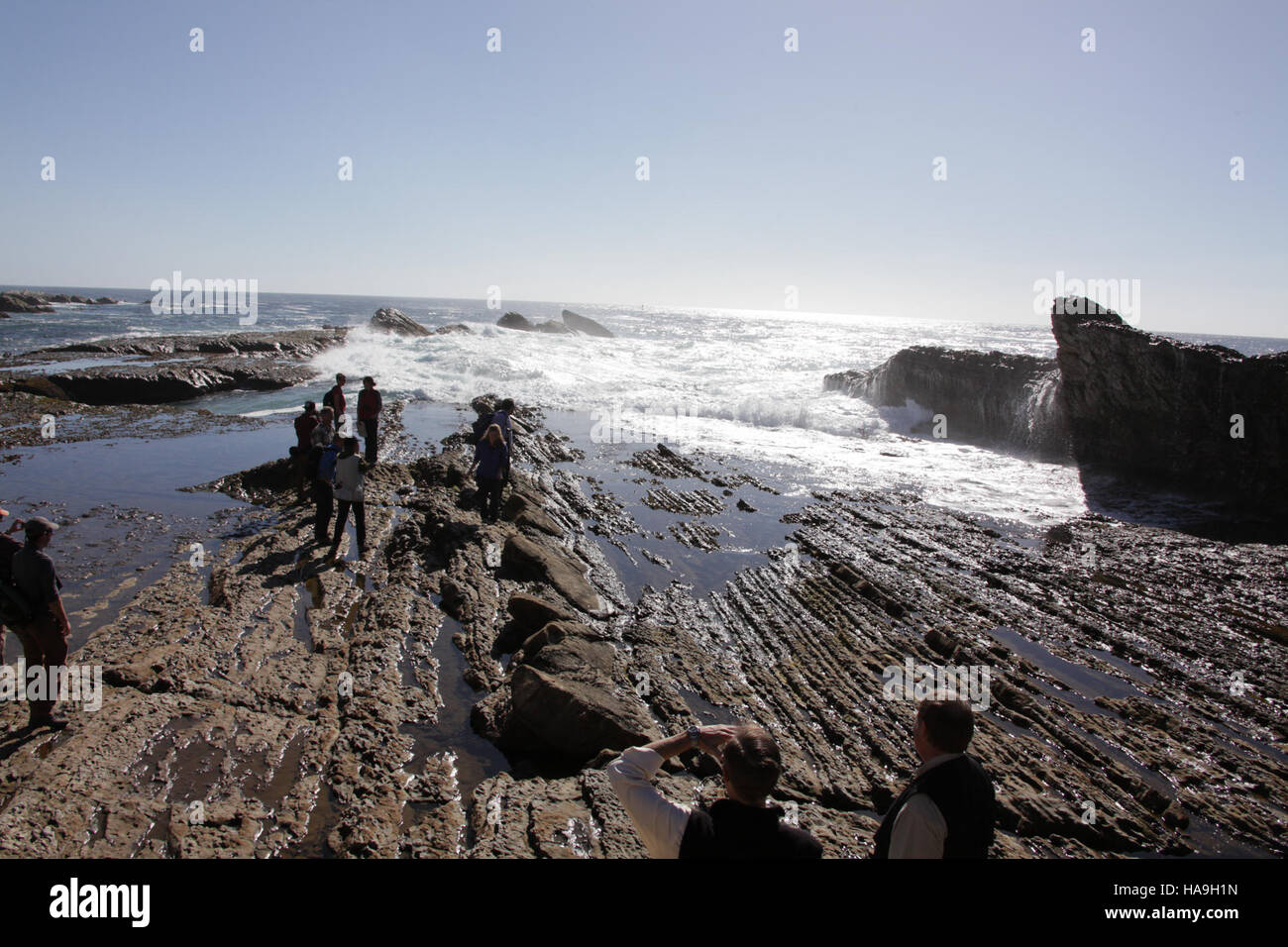 usinterior 11207487075 Point Arena Stornetta Public Lands (11⁄8⁄2013 ...