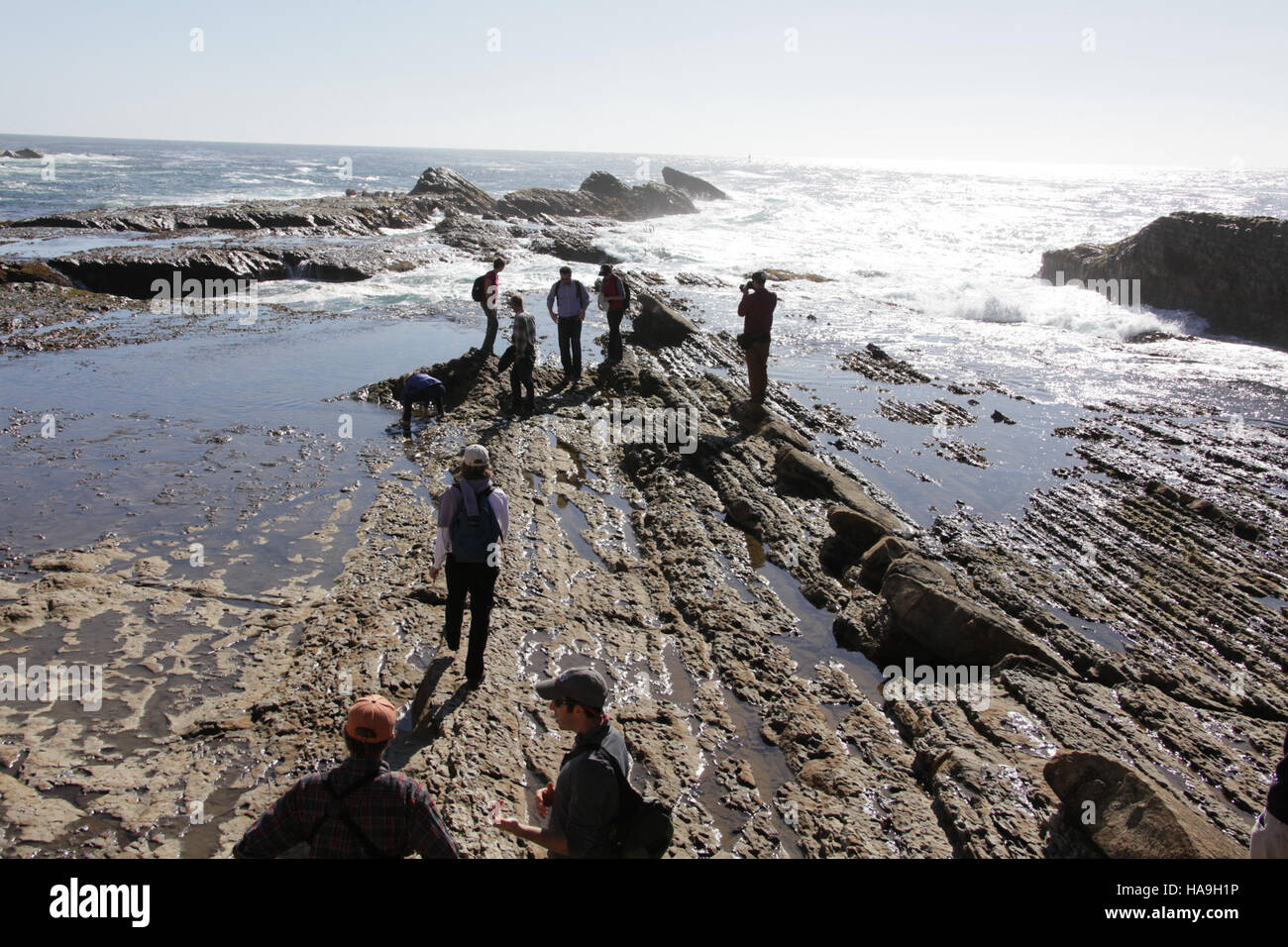 usinterior 11207487905 Point Arena Stornetta Public Lands (11⁄8⁄2013 ...