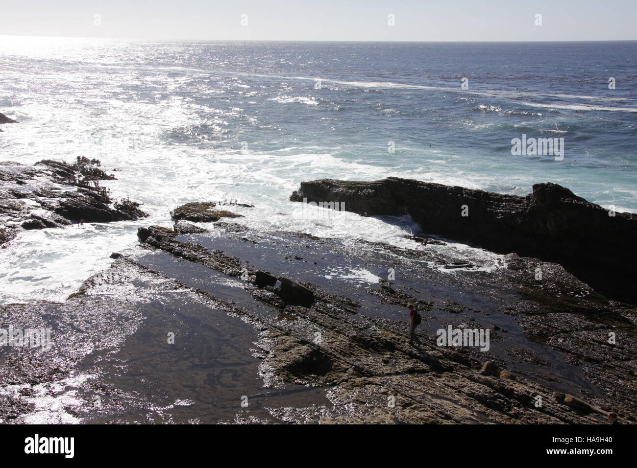 Point Arena Stornetta Public Lands, part of the California Coastal ...