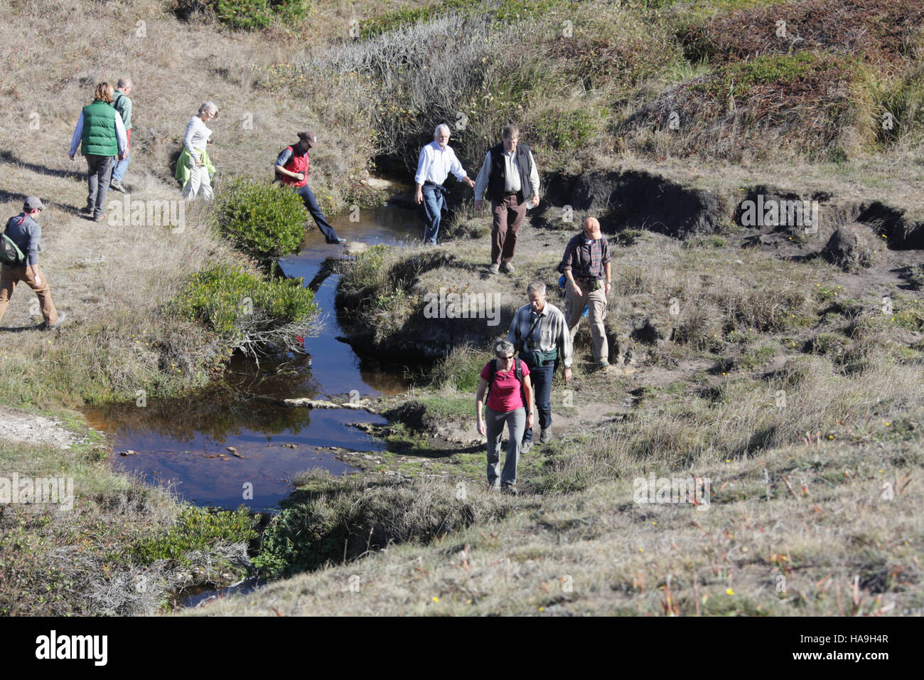 Point arena stornetta public lands hi-res stock photography and images ...