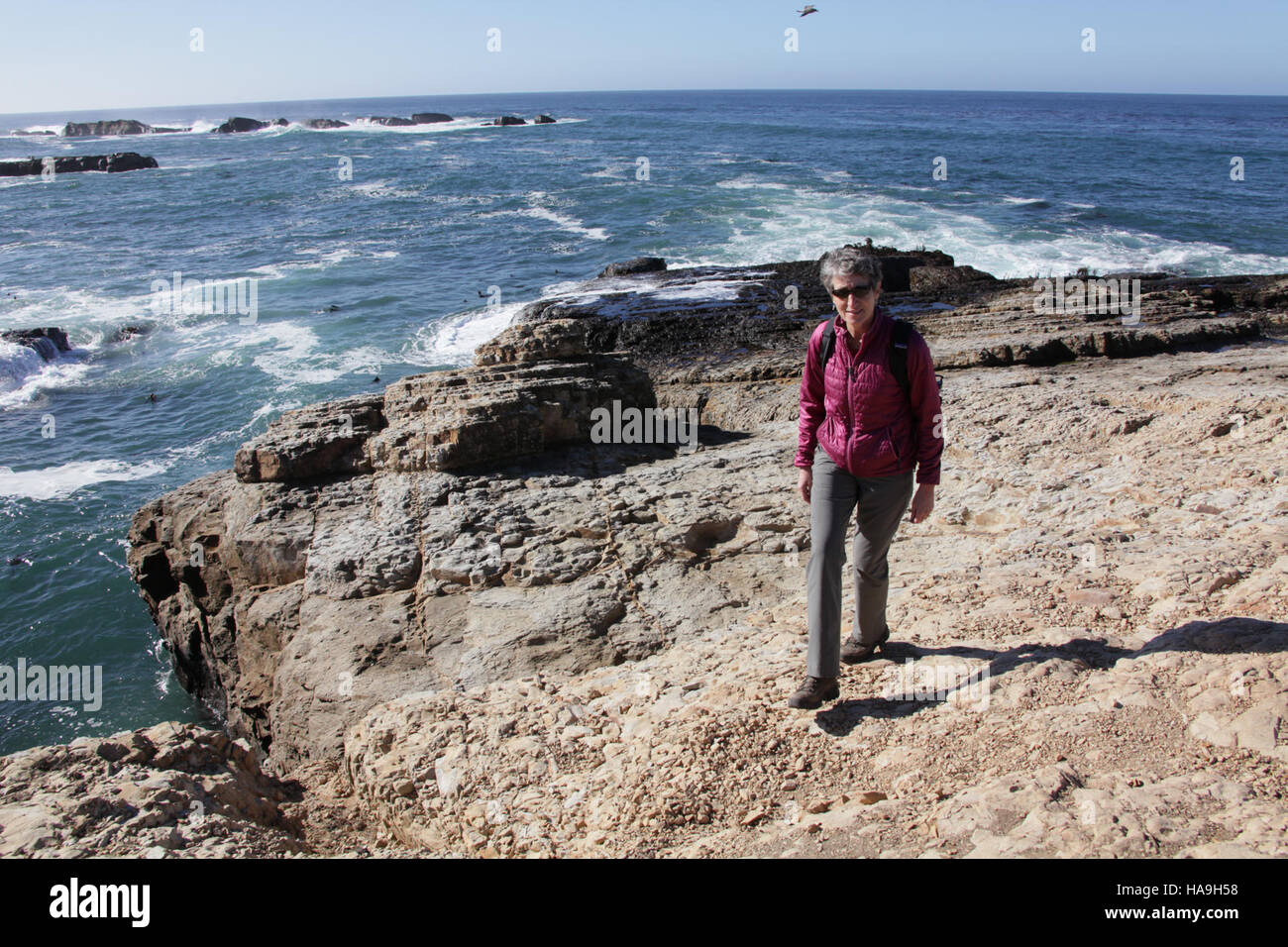 usinterior 11207520775 Point Arena Stornetta Public Lands (11⁄8⁄2013 ...