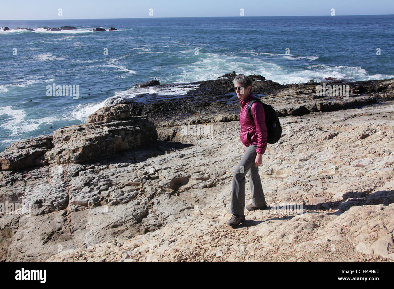 usinterior 11207529724 Point Arena Stornetta Public Lands (11⁄8⁄2013 ...