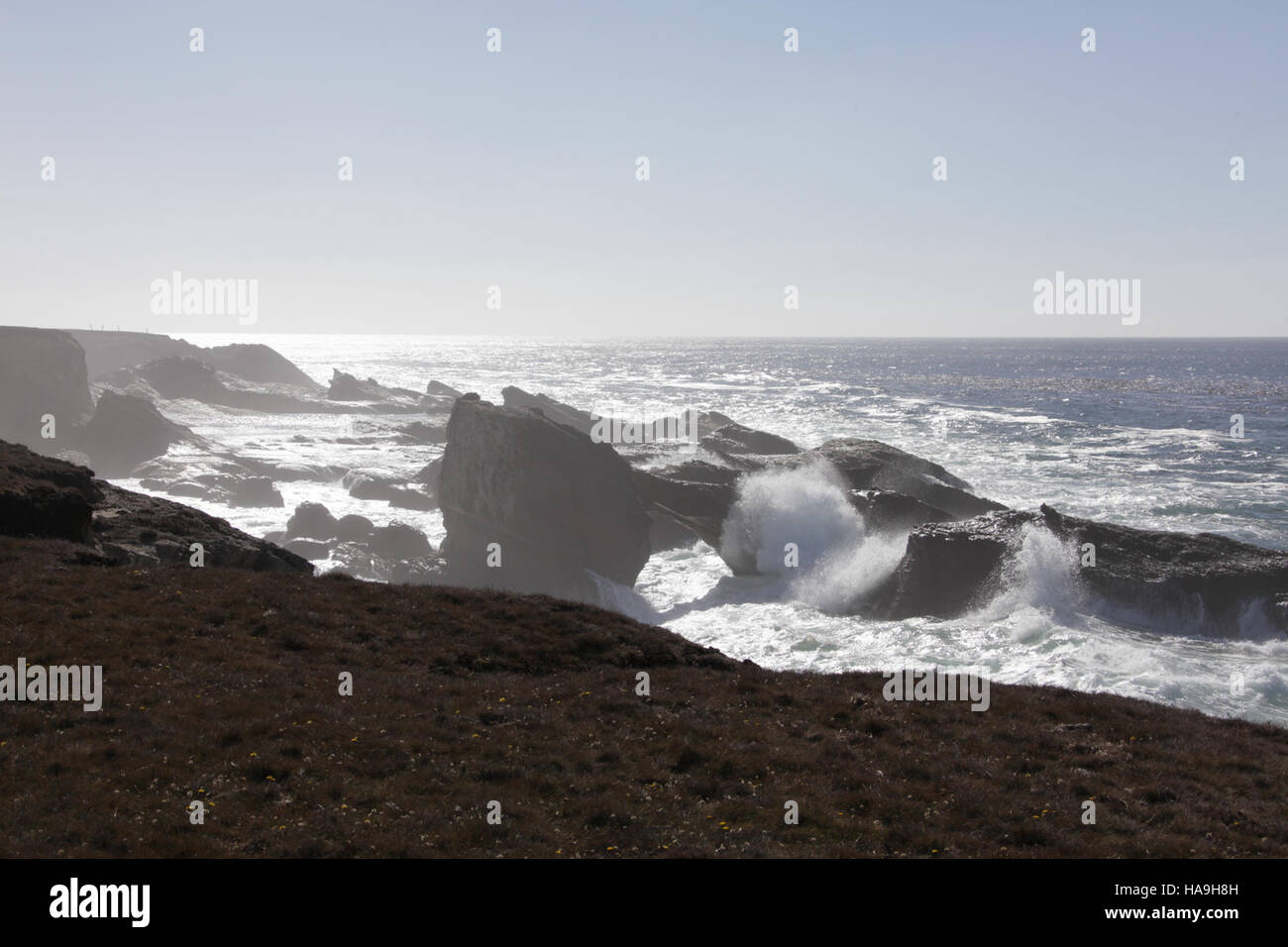 Point Arena Stornetta Public Lands, part of the California Coastal ...