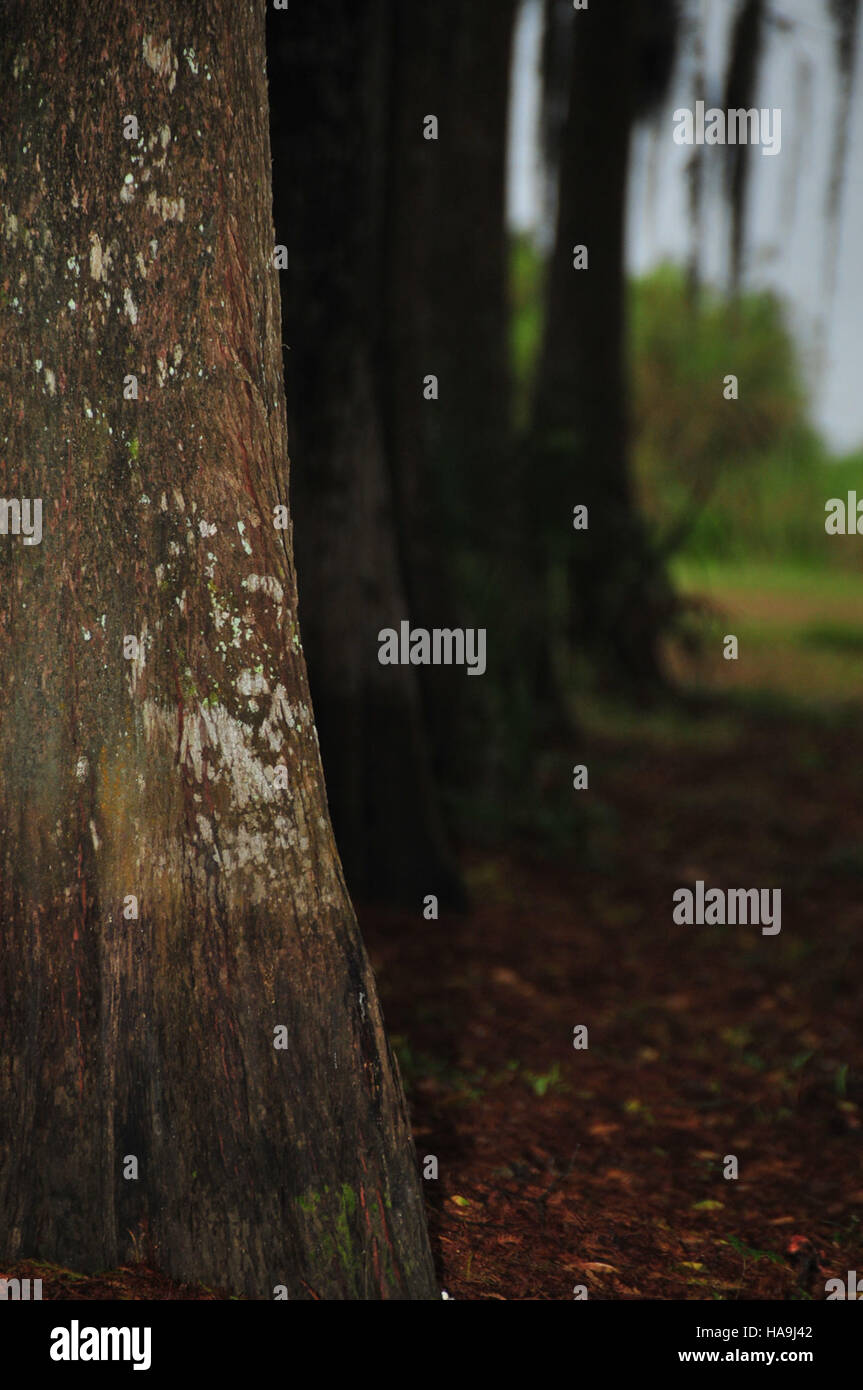 6409 High Resolution Stock Photography and Images - Alamy