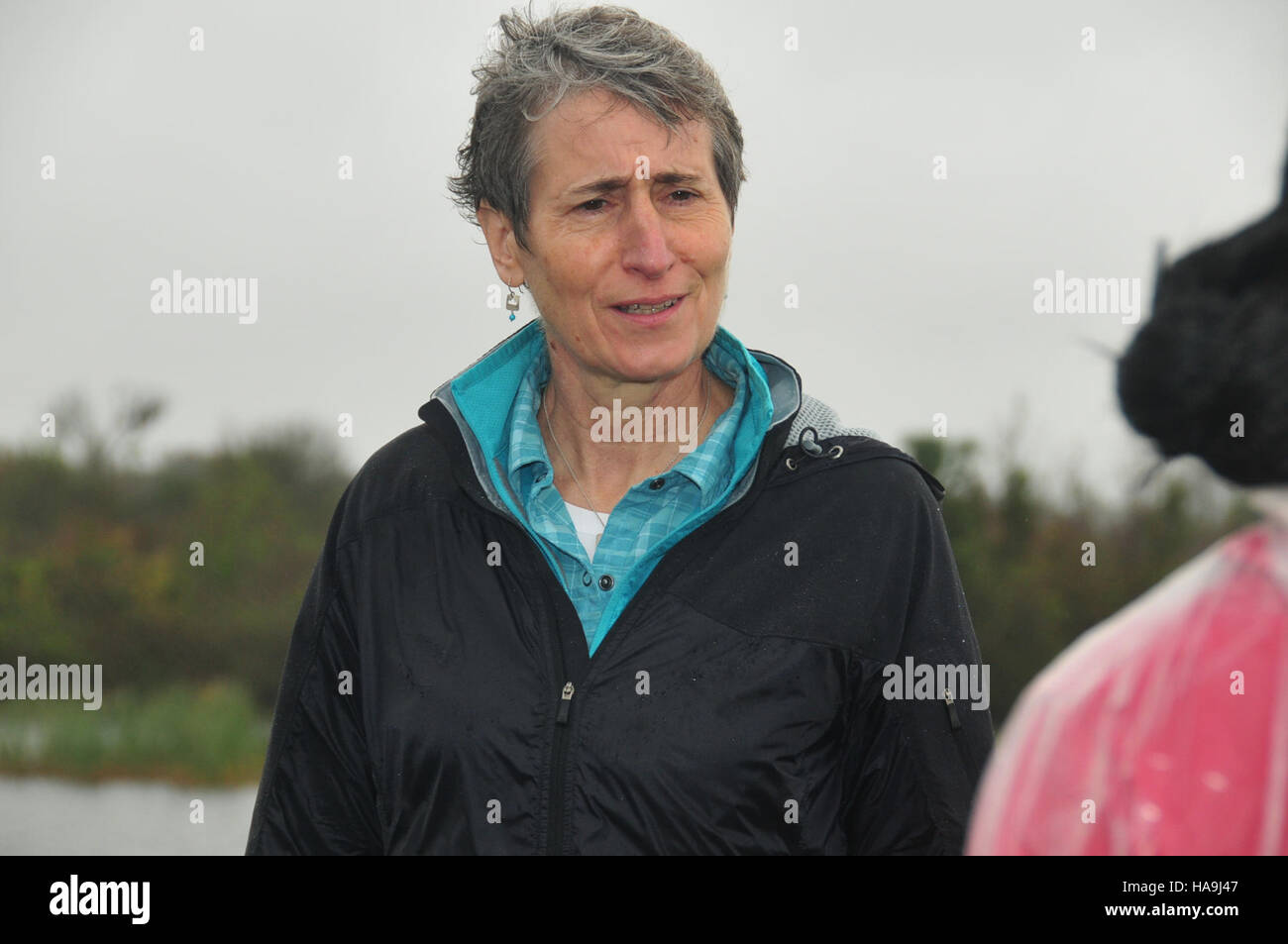 A landscape captured in a national park, showcasing diverse ecosystems ...