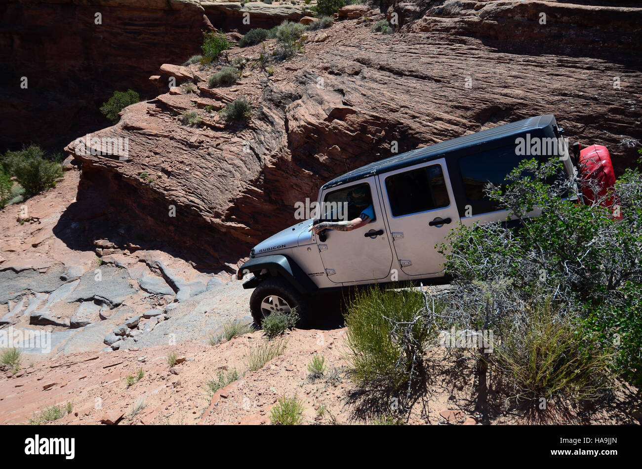 The Needles district of Canyonlands National Park, with its distinctive ...
