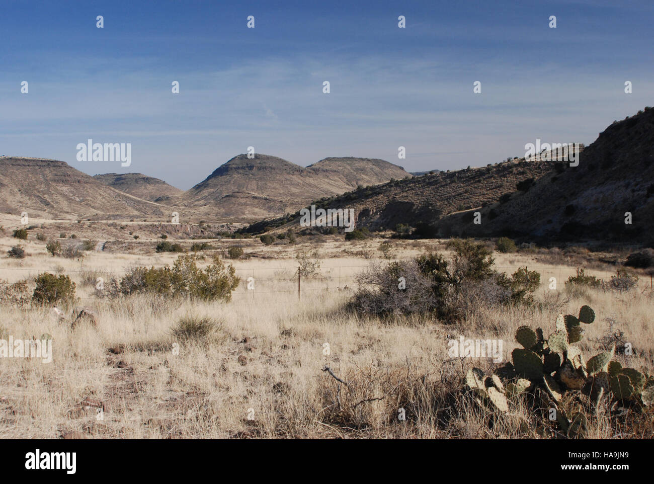The image captures a scene from a U.S. national park, showcasing the ...