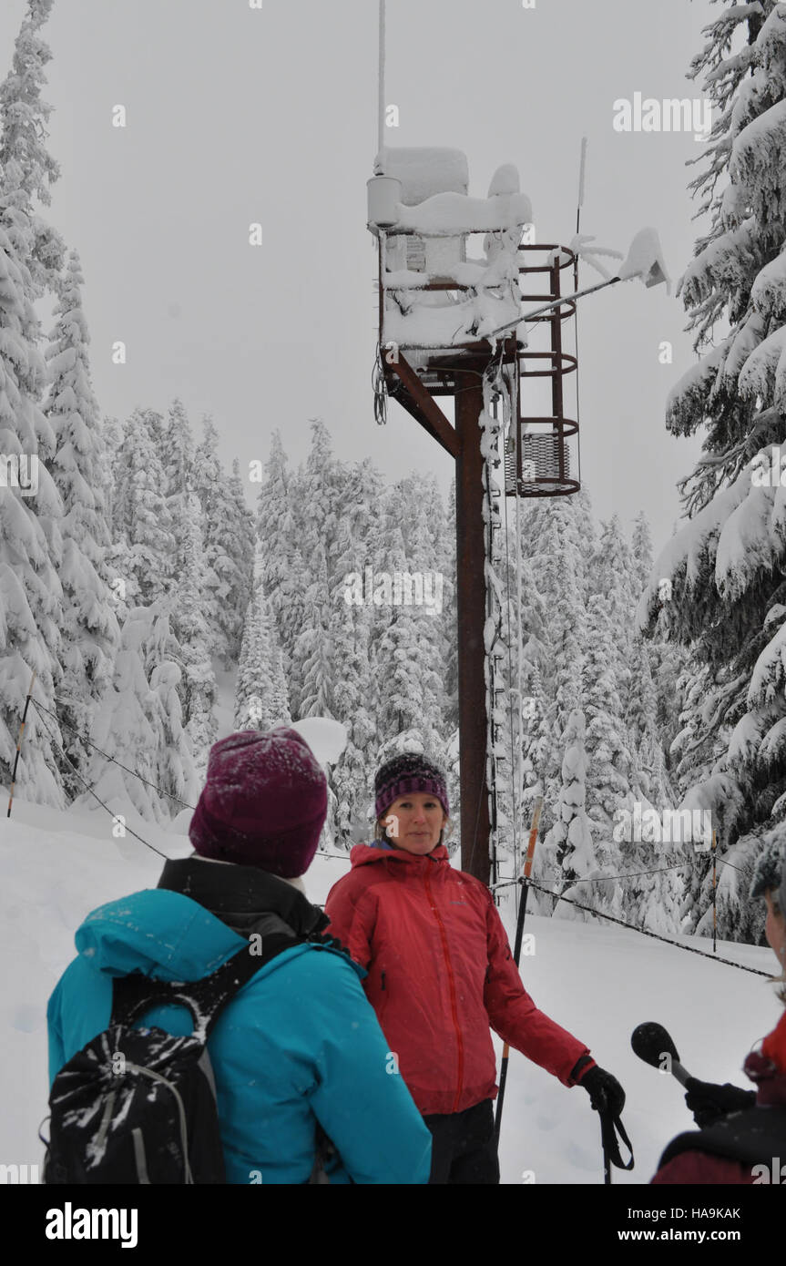 Highlighting significant features hi-res stock photography and images ...