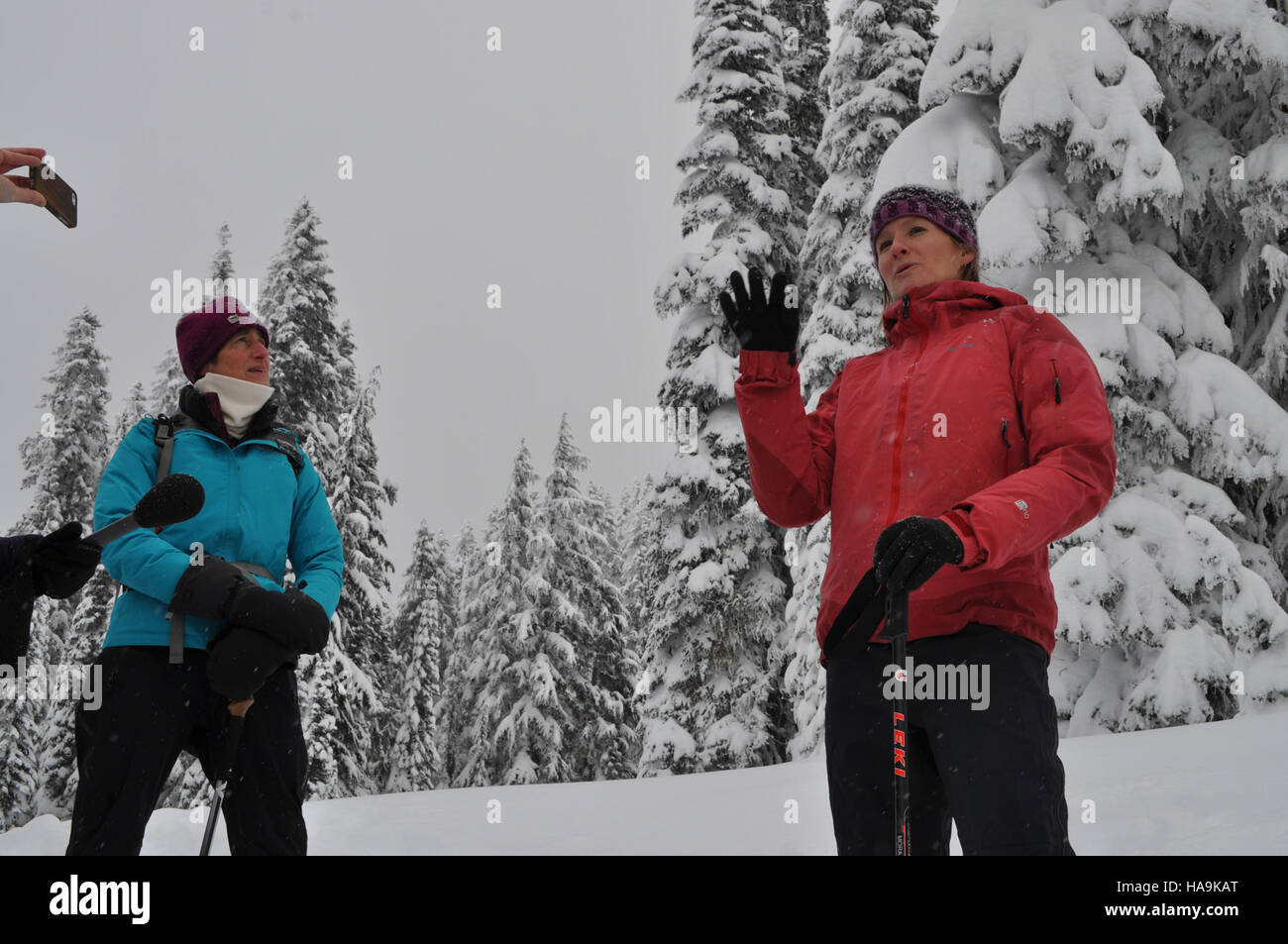 0060 hi-res stock photography and images - Alamy