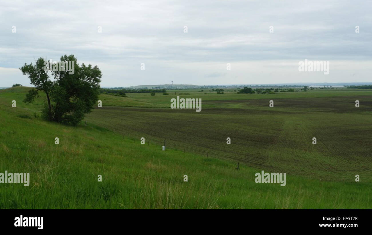 A scenic view from a national park, showcasing the natural landscape ...