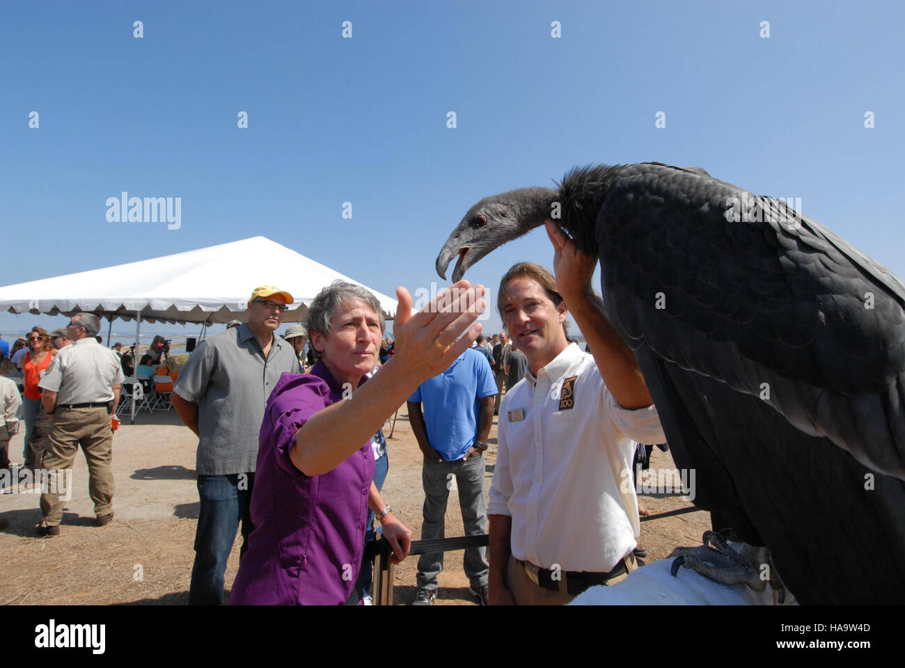 2056 hi-res stock photography and images - Alamy