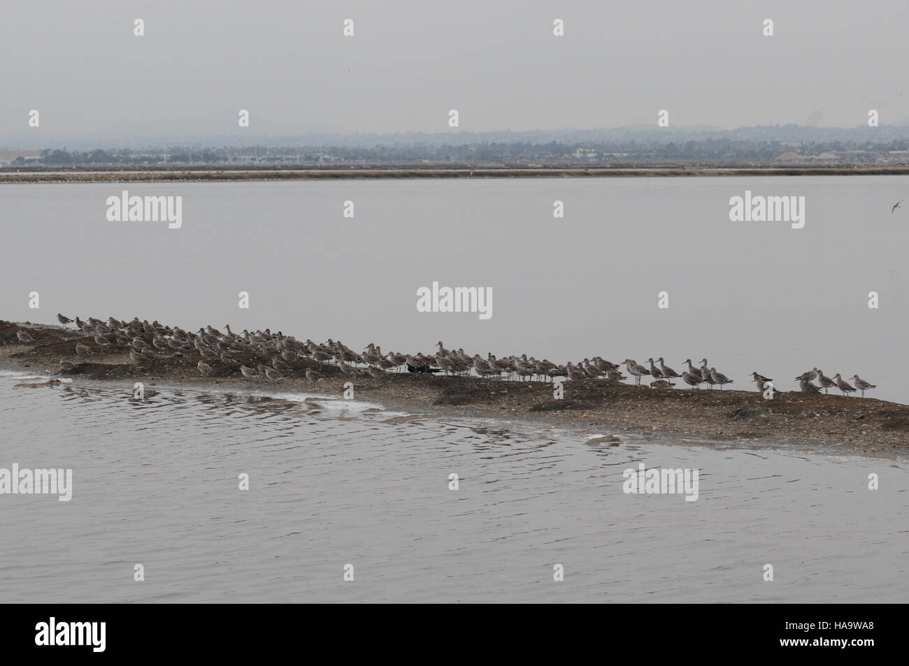 2571 hi-res stock photography and images - Alamy