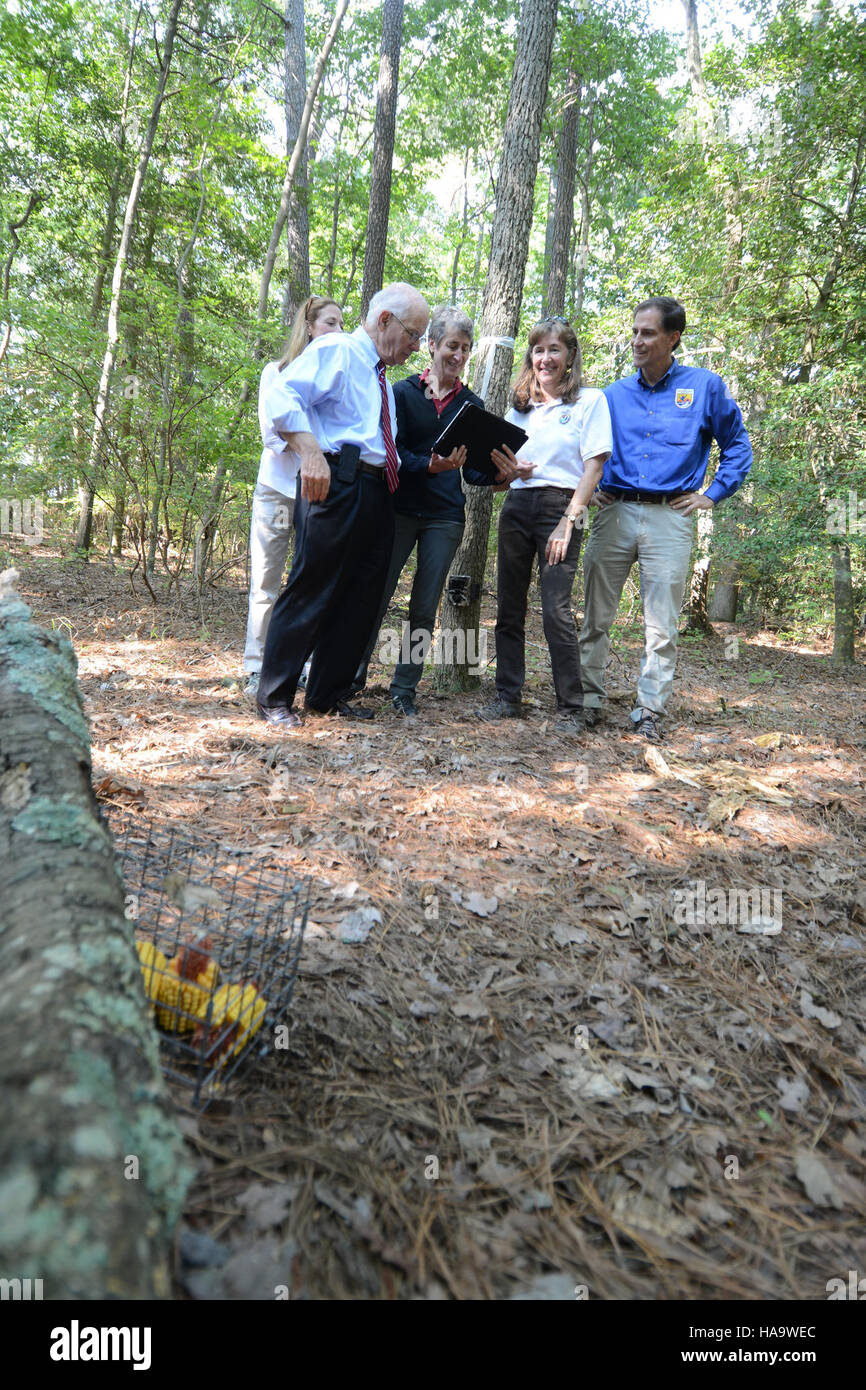 7838 hi-res stock photography and images - Alamy