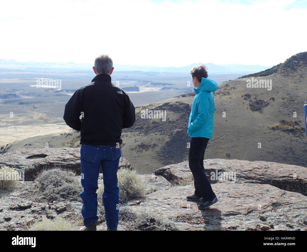 Sagebrush habitat restoration in Idaho focuses on revitalizing vital ...