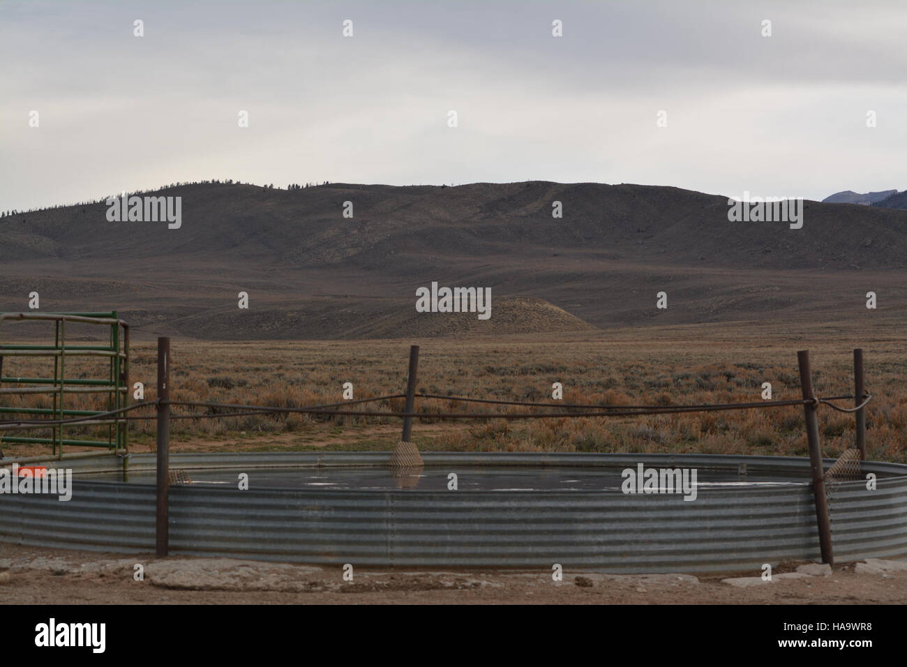 Sagebrush habitat conservation efforts in Wyoming aim to protect ...
