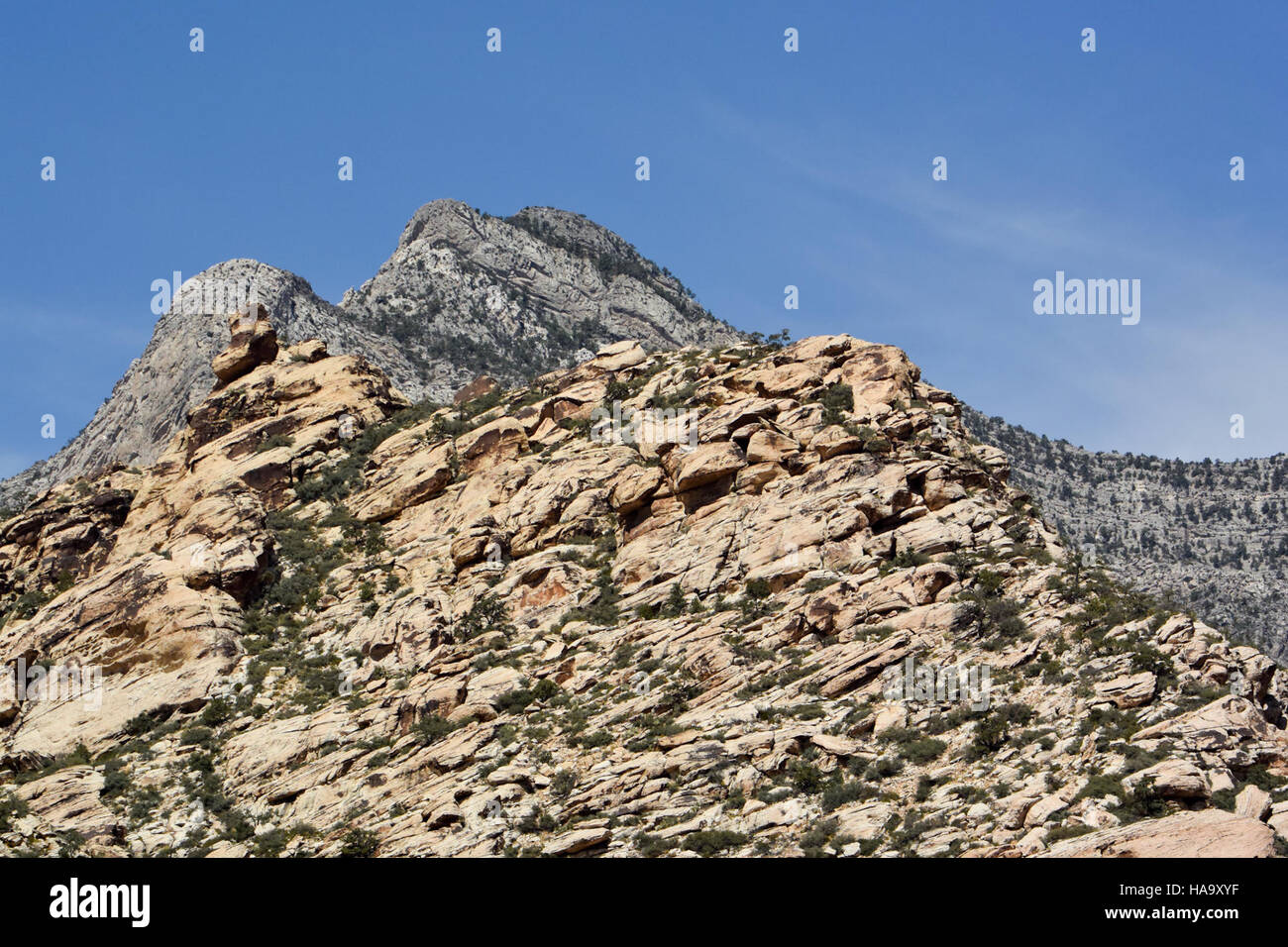 This image represents an undisclosed national park, showcasing the ...