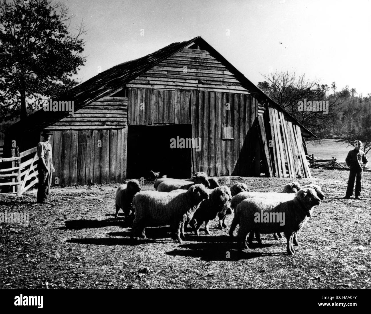 A collaborative energy conservation initiative supported by the ...