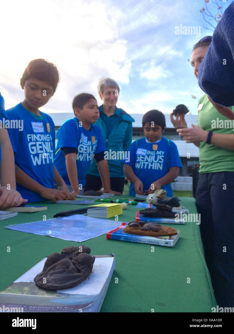 This image showcases the striking landscapes within national parks ...