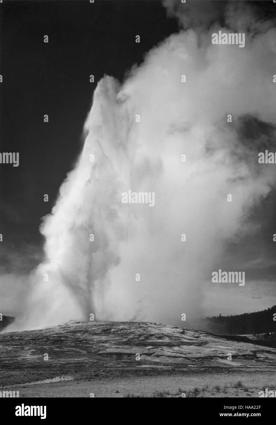 Engagement project Black and White Stock Photos & Images - Alamy