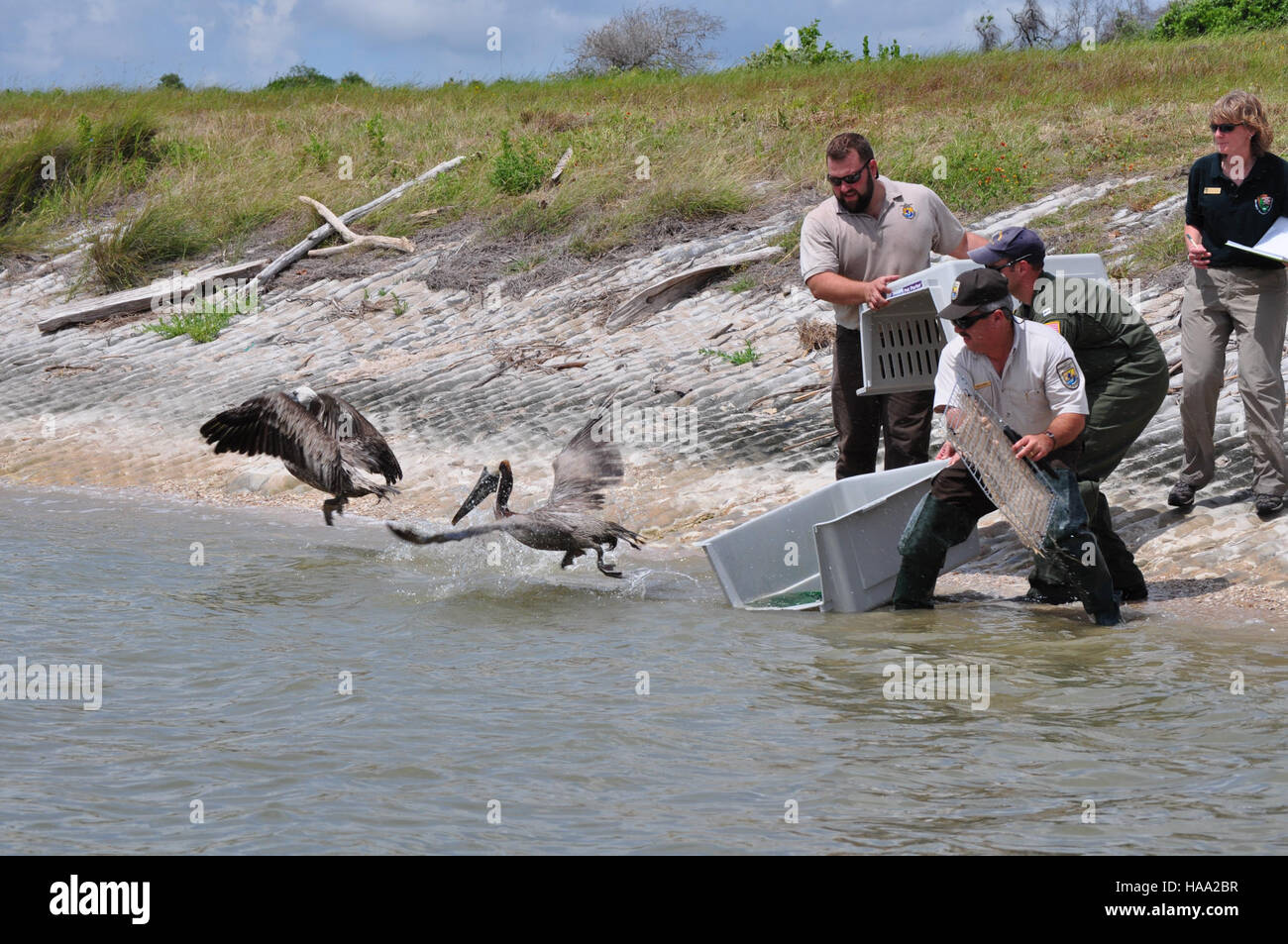 Aransas national wildlife refuge hi-res stock photography and images ...