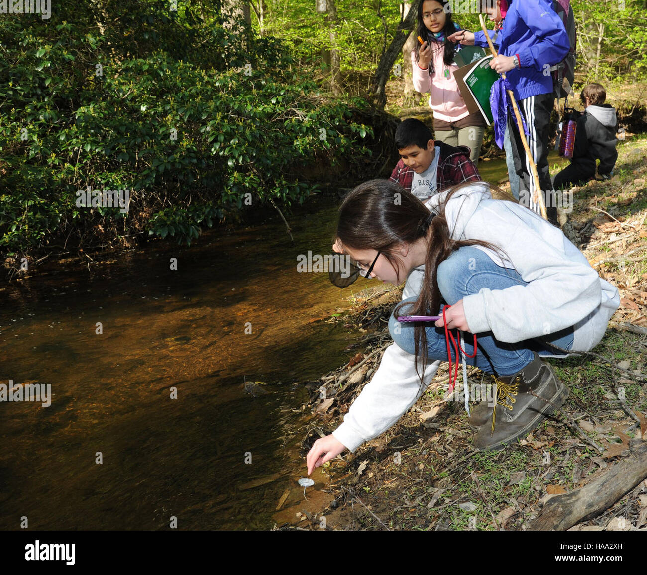 3889 High Resolution Stock Photography and Images - Alamy